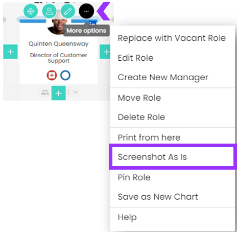 How to use the "Screenshot As Is" feature. – Organimi Help Center
